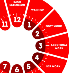 Official BASI Pilates Teacher Training in Asia